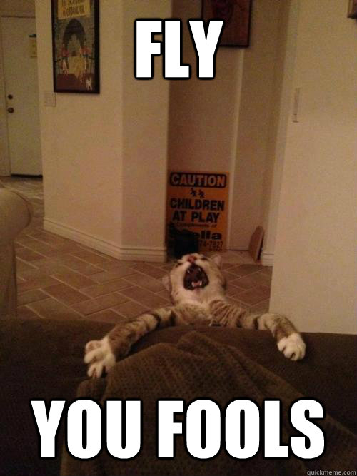 Fly you fools - cliffhanger cat - quickmeme