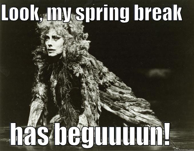 Spring Break - quickmeme
