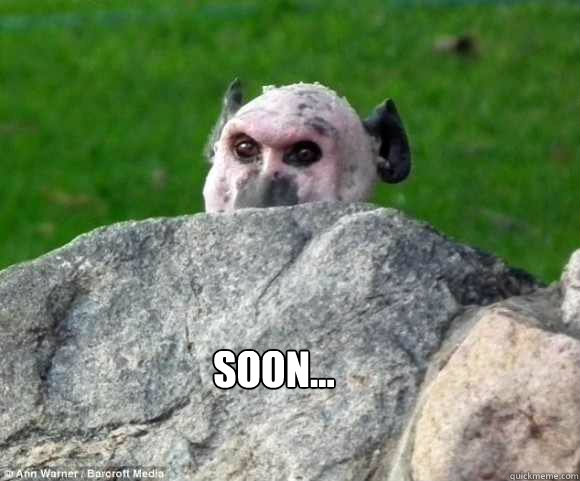 Soon Baboon Memes Quickmeme Soon Baboon Memes Quickmeme