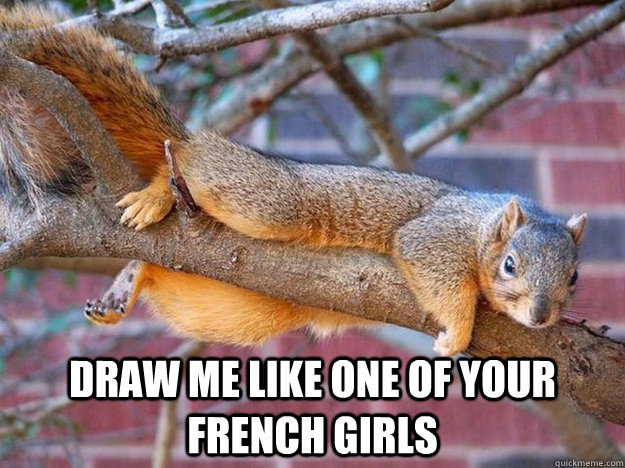 Sexy Squirrel memes | quickmeme