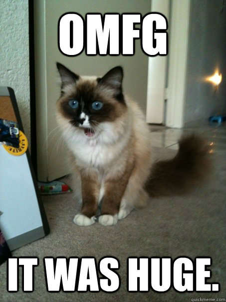 OMFG It was huge. - My cat took an hour to bury its turd today... - quickmeme