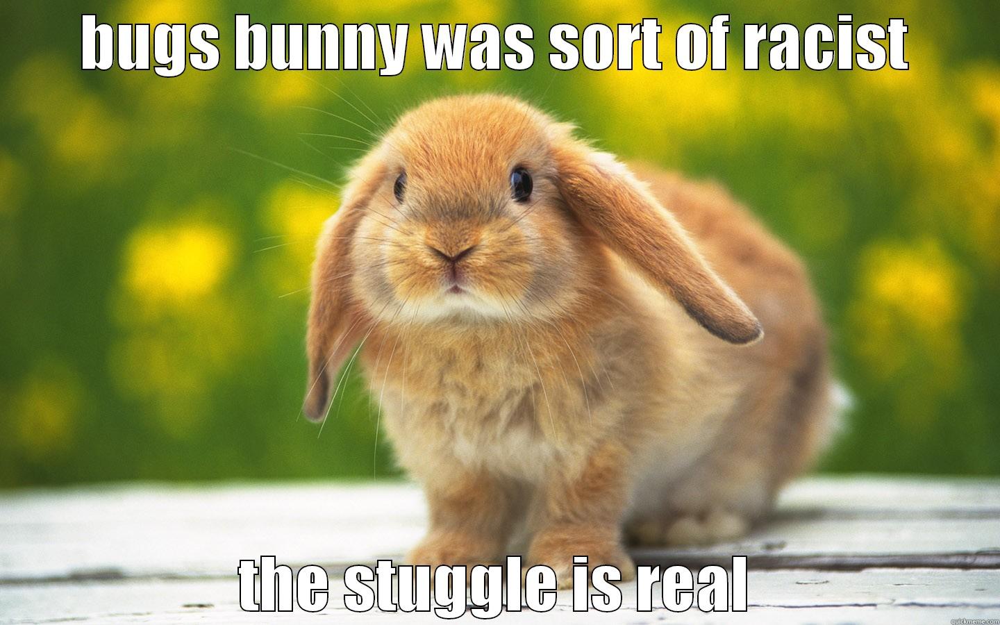 Militant bunny - quickmeme