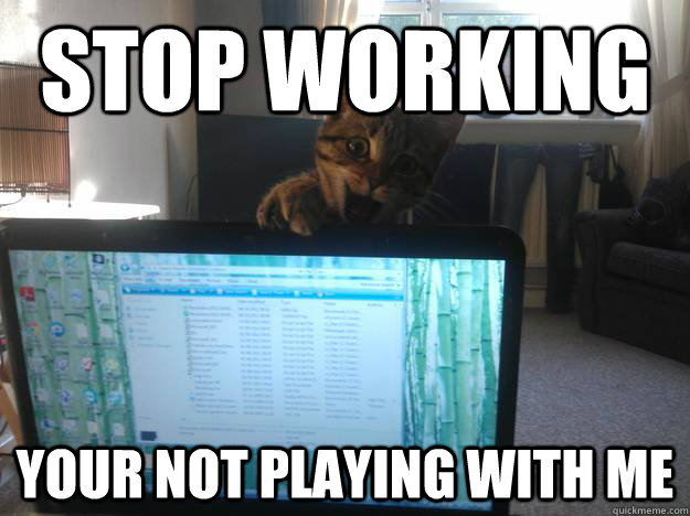 Stop working Your not playing with me - Misc - quickmeme