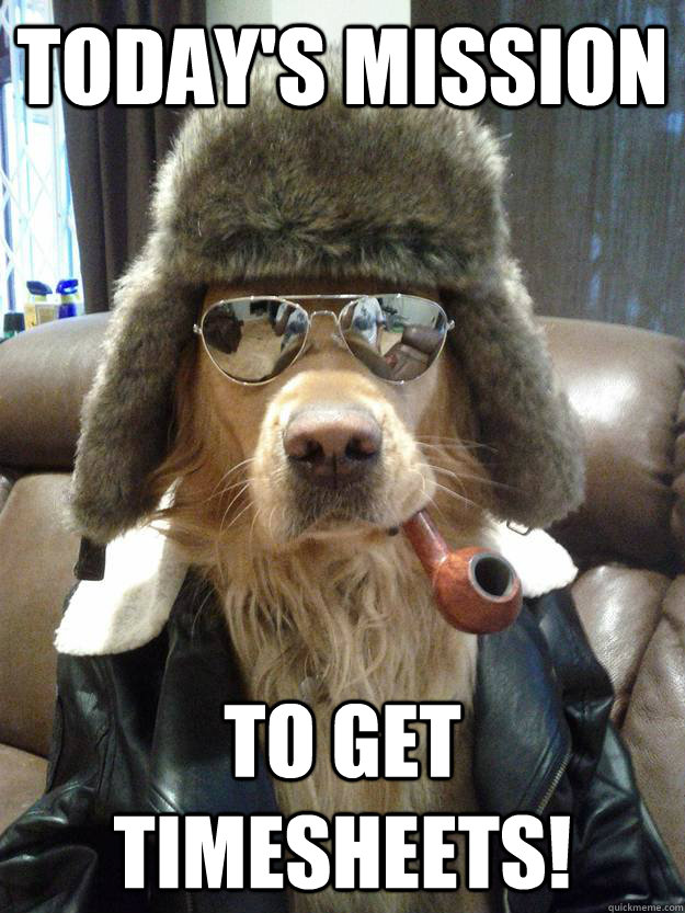 Today s Mission To Get Timesheets Wingdog Quickmeme Today s Mission To Get Timesheets Wingdog Quickmeme
