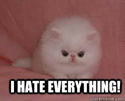 i hate everything! - i hate everything - quickmeme