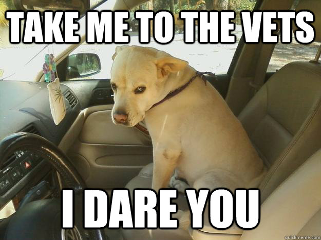 Take me to the vets i dare you - Misc - quickmeme