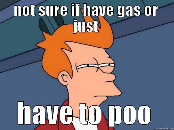 not sure if have gas or just have to poo - quickmeme