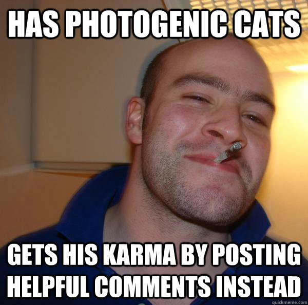 Has photogenic cats gets his karma by posting helpful comments instead - Misc - quickmeme