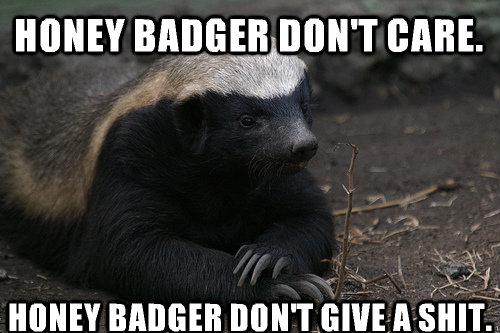 Honey badger don't care. Honey badger don't give a shit. - HoneyBadger - quickmeme