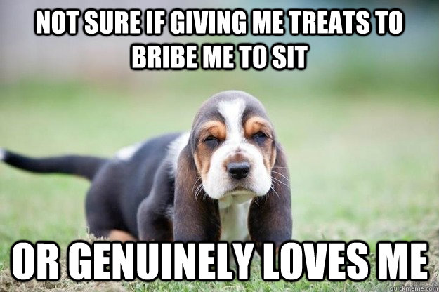 not sure if giving me treats to bribe me to sit or genuinely loves me - Misc - quickmeme