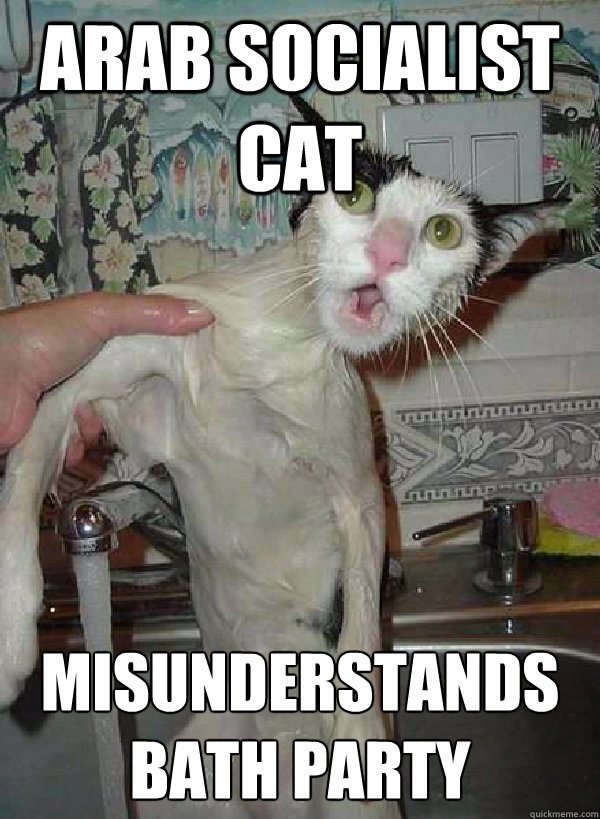 Arab socialist cat misunderstands bath party - Misc - quickmeme