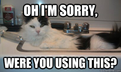 Oh I'm sorry, were you using this? - Sink Kittey - quickmeme