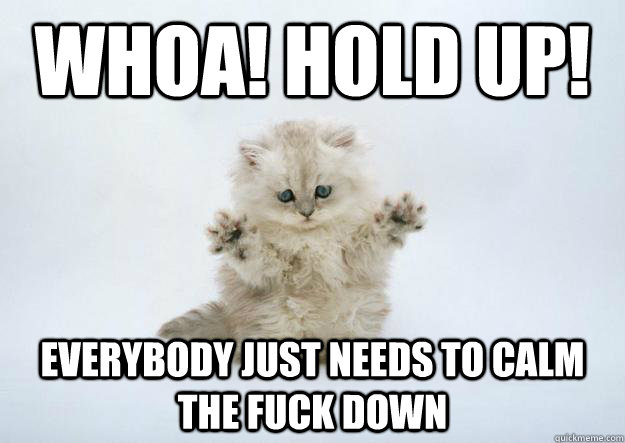 whoa! hold up! everybody just needs to calm the fuck down - cutekitty - quickmeme