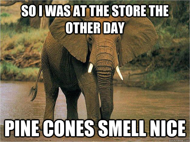 Irrelevant Elephant memes | quickmeme