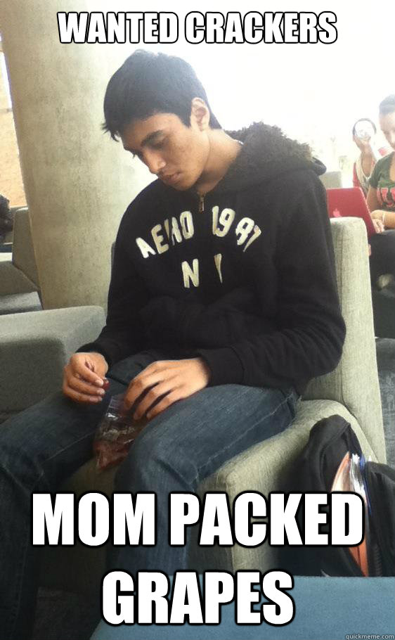 Wanted Crackers Mom packed grapes - Misc - quickmeme