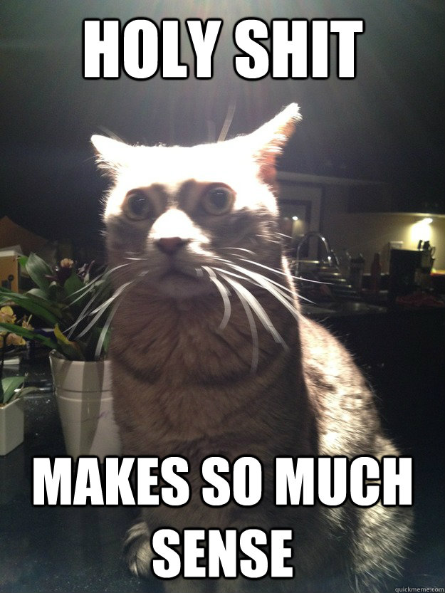 holy shit makes so much sense - Holy Shit Cat - quickmeme