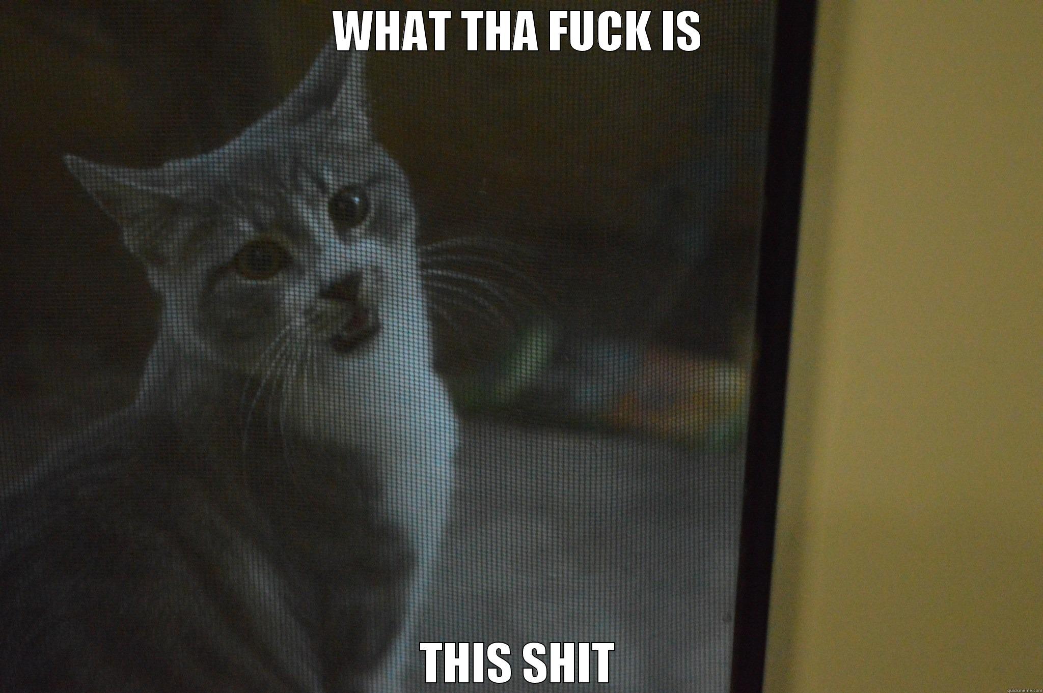 fuck you - quickmeme