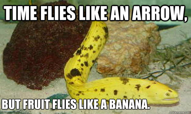 Time flies like an arrow, But fruit flies like a banana. - Bad Joke Banana Eel - quickmeme