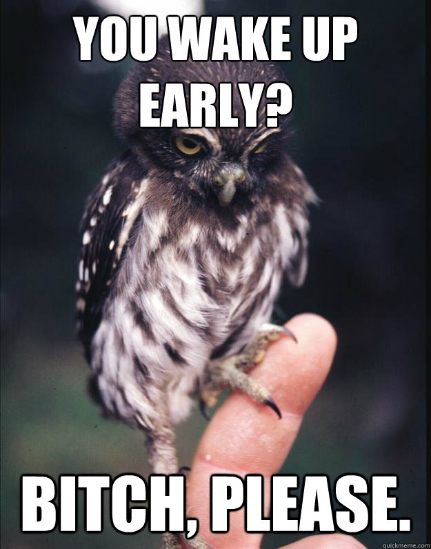 Bitch, please. - Bitch, Please Owl - quickmeme