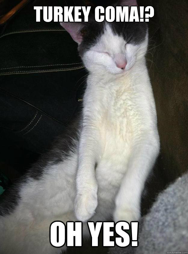 Turkey COMA!? OH YES! - Comfy Kitty - quickmeme