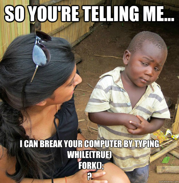 So you're telling me... i can break your computer by typing while(true) fork(); ? - skeptical ...