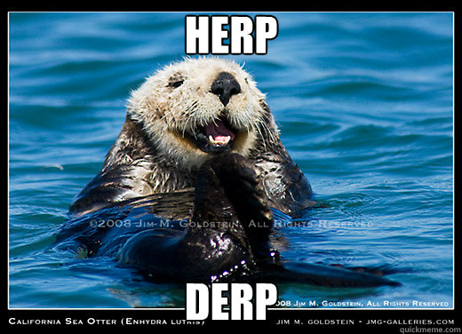 Herp Derp - seaotter-herpderp - quickmeme