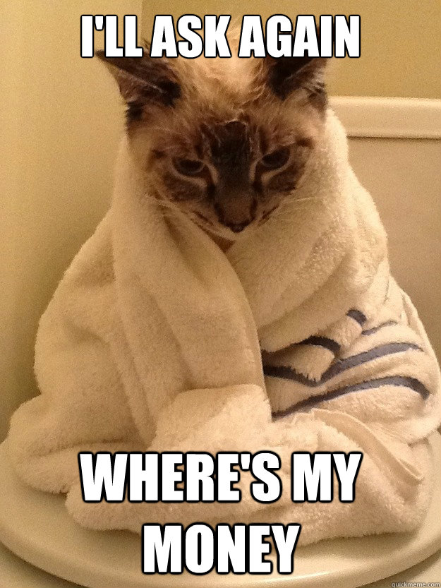 i'll ask again where's my money - Mob Boss Cat - quickmeme