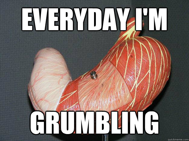 Everyday im Grumbling memes | quickmeme