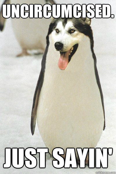 uncircumcised. just sayin' - Courageously Awkward Wolf - quickmeme