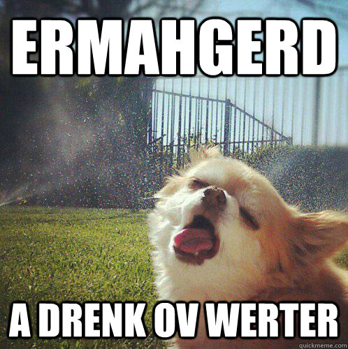 Thirsty Dog memes | quickmeme