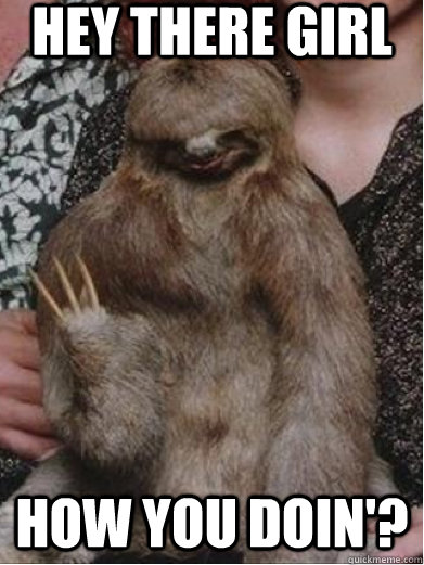 Hey there girl How you doin'? - Misc - quickmeme