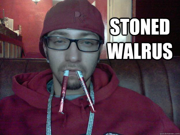 stoned walrus - stoned walrus - quickmeme