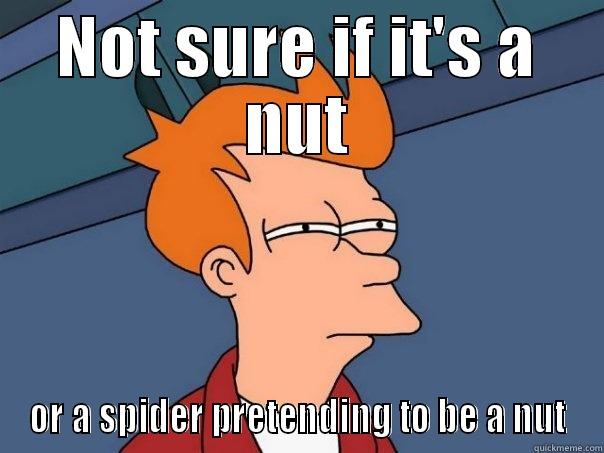 Nom Nom Nom - quickmeme