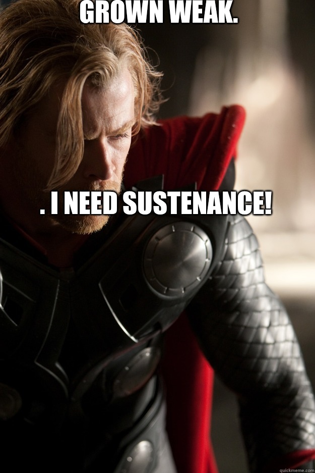 This mortal form has grown weak. . I need sustenance! - sexually oblivious thor - quickmeme