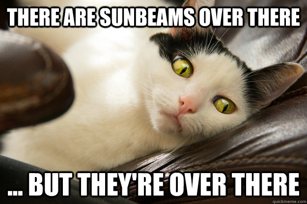 THERE ARE SUNBEAMS OVER THERE ... BUT THEY'RE OVER THERE - First World Cat Problems - quickmeme