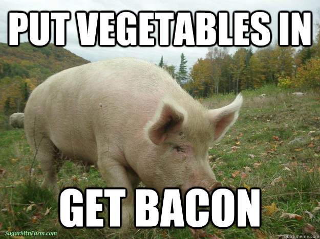 Put Vegetables in Get bacon - Misc - quickmeme