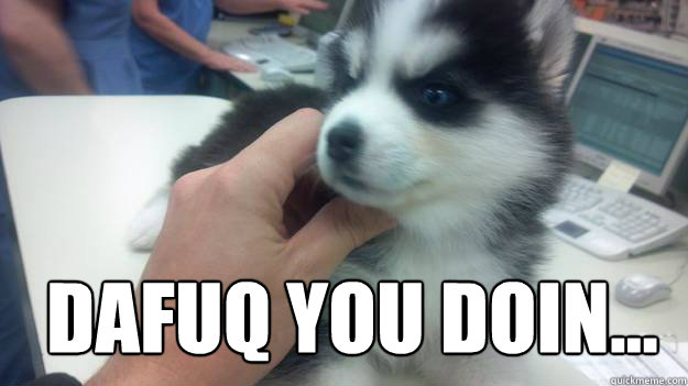 dafuq you doin... - DAFUQ DOG - quickmeme