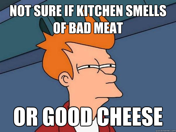 Not sure if kitchen smells of bad meat or good cheese - Misc - quickmeme