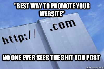 "best way to promote your website" no one ever sees the shit you post - Scumbag Website - quickmeme