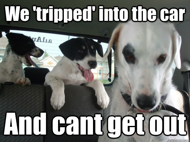 We 'tripped' into the car And cant get out - Captain dogs - quickmeme