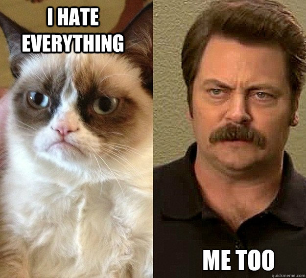 I hate everything Me too - Grumpy catRon Swanson - quickmeme
