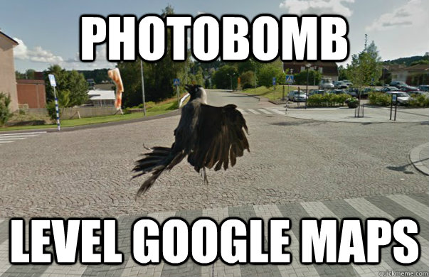 photobomb Level Google Maps - Misc - quickmeme