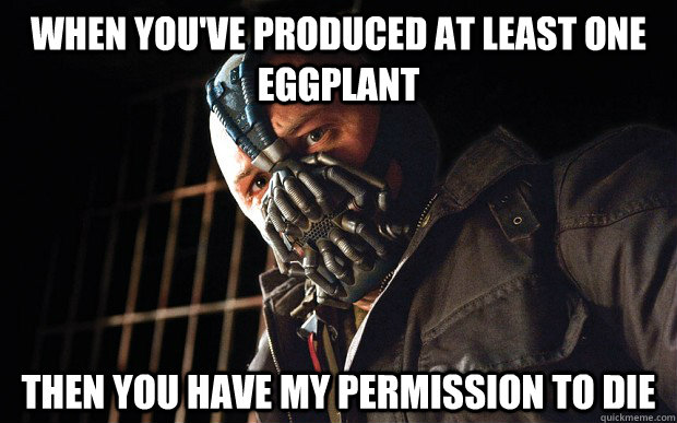 When you've produced at least one eggplant then you have my permission to die - Bane D3 - quickmeme