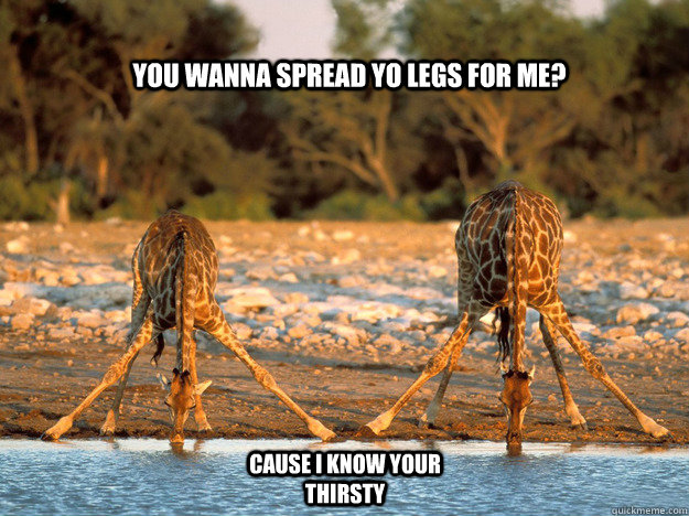 You wanna spread yo legs for me? cause i know your thirsty - thirst is real - quickmeme
