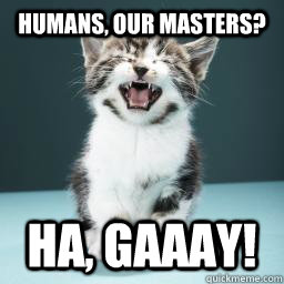 Humans, our masters? Ha, gaaay! - Dat pussy - quickmeme