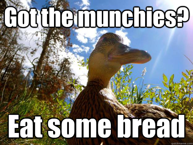 Got the munchies? Eat some bread - High as Duck - quickmeme