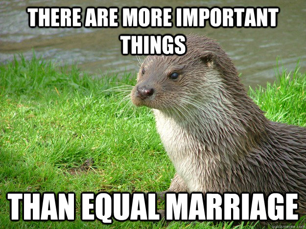There are more important things Than equal marriage - Offensive Opinion Otter - quickmeme