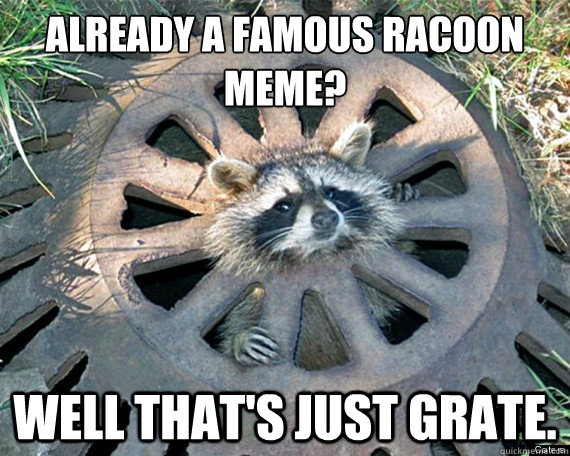 ALREADY A FAMOUS RACOON MEME? WELL THAT'S JUST GRATE. - Thats Just Grate Racoon - quickmeme