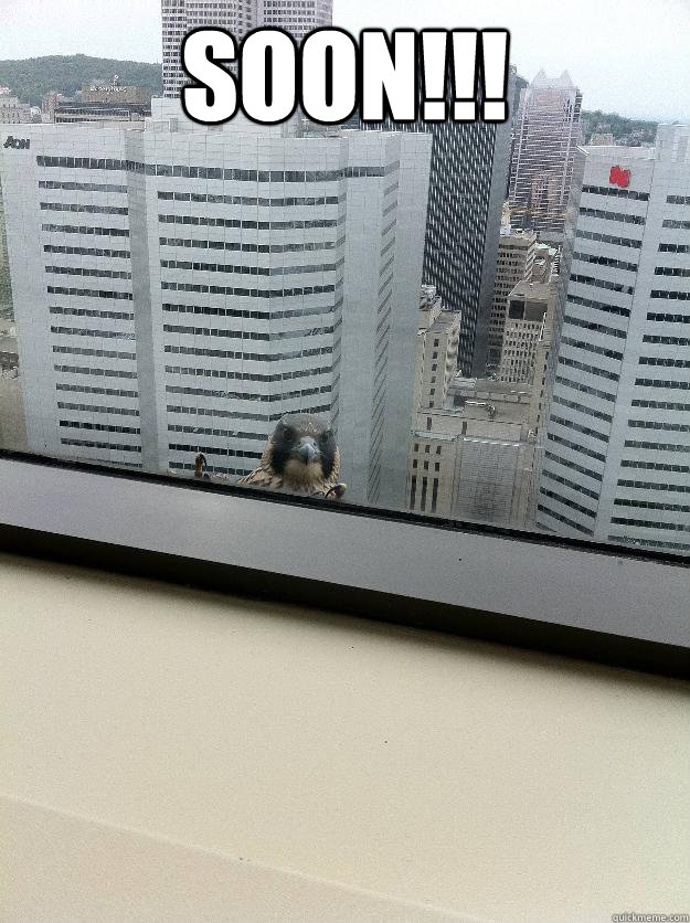 SOON!!! - Misc - quickmeme