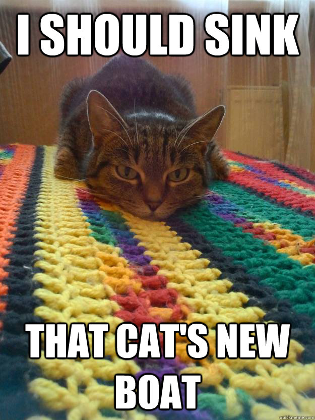 I should sink That cat's new boat - Evil Cat Plots - quickmeme